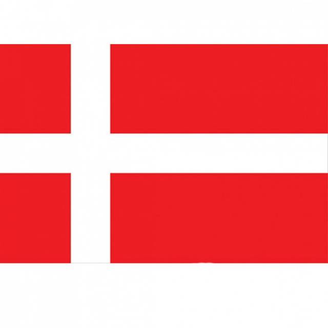 Danmark Flagg Stort